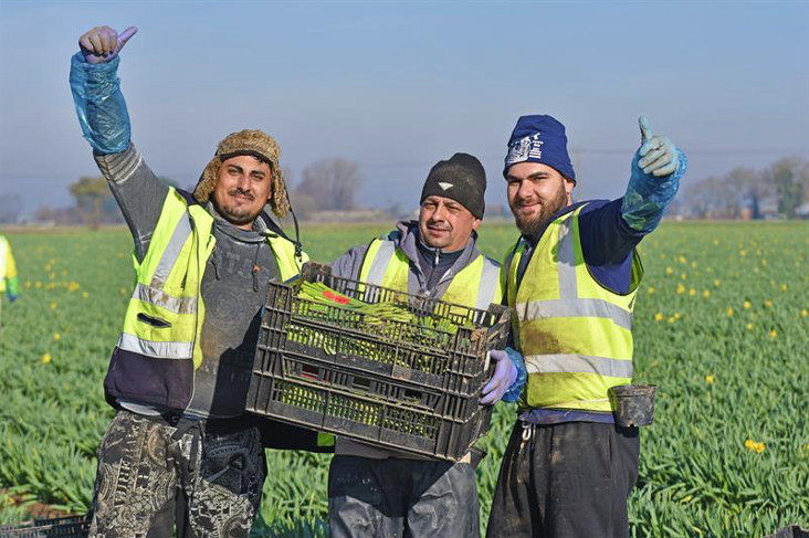 Seasonal worker scheme urgently needed Seasonal worker scheme urgently needed